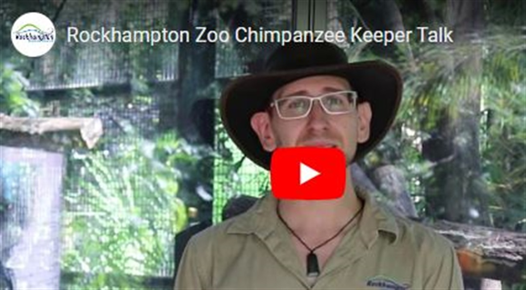 Online Keeper Talks Rockhampton Zoo